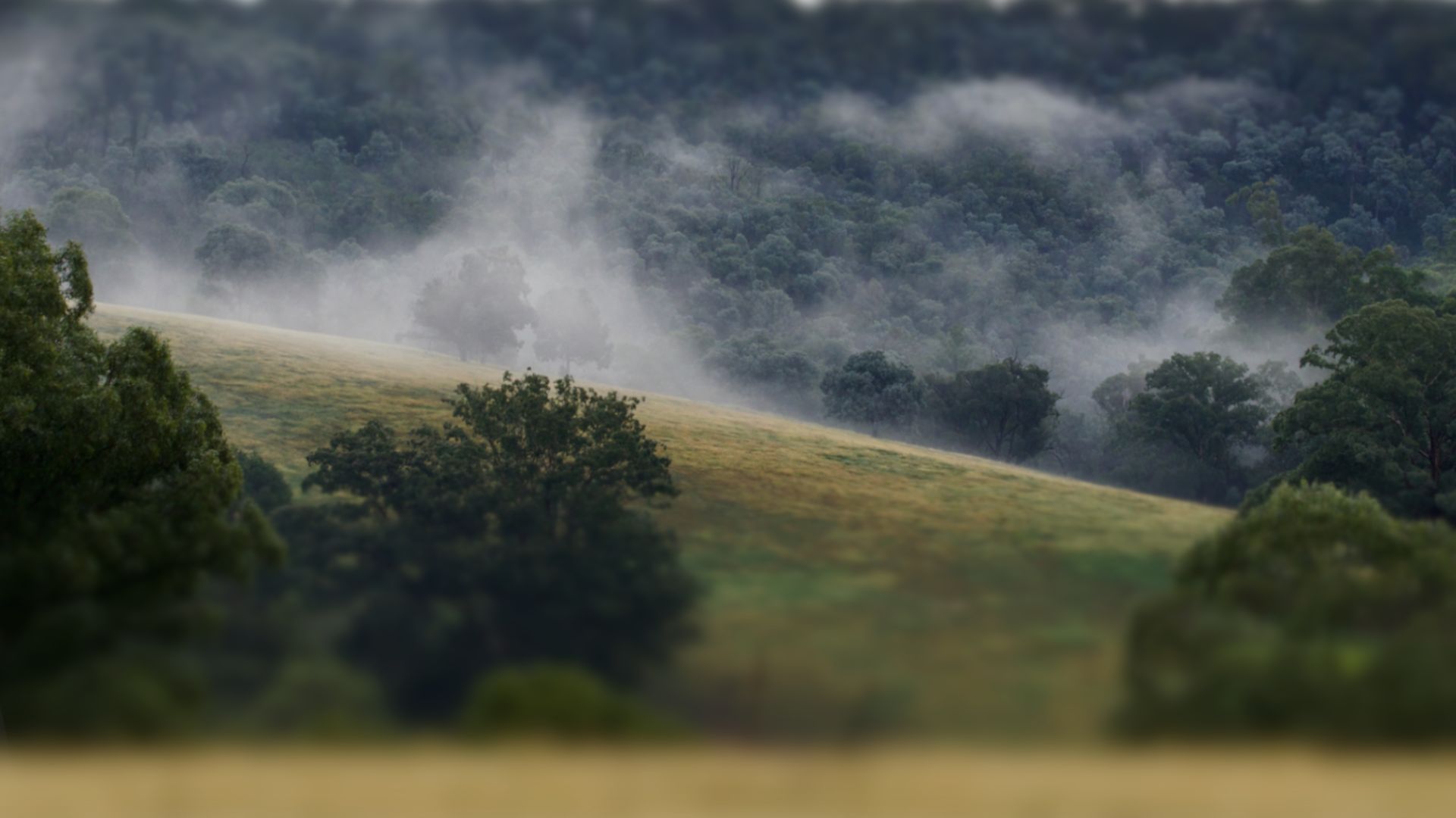 Building biolinks to the Avon Wilderness - Land Covenantors Victoria