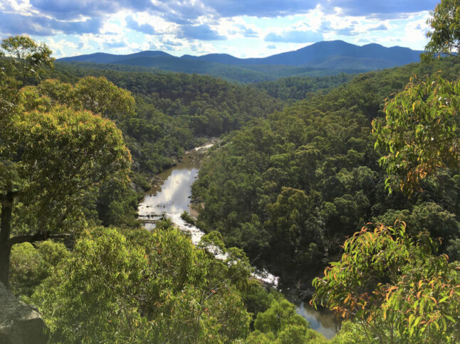 Building biolinks to the Avon Wilderness - Land Covenantors Victoria