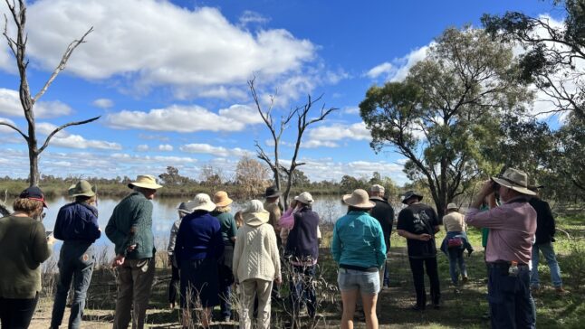 The rise of private land conservation in Victoria - Land Covenantors ...
